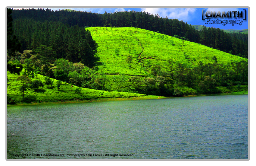 Chamith Chandrasekara - Photography: Sembuwaththa Lake - Matale