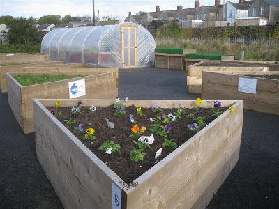 Welcome to the Green Heart Dens blog page.......: Greengate Junior ...