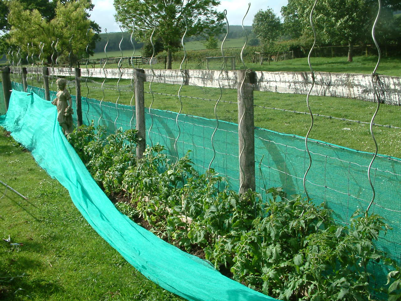 DOWN ON THE FUNNY FARM: Flobalobs, Furtling, and Fabulous Friends......