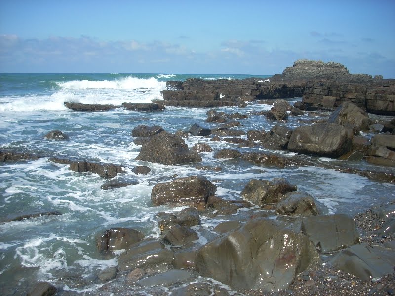 CUDAKI: WIDOKÓWKI Z WAKACJI - OCEAN