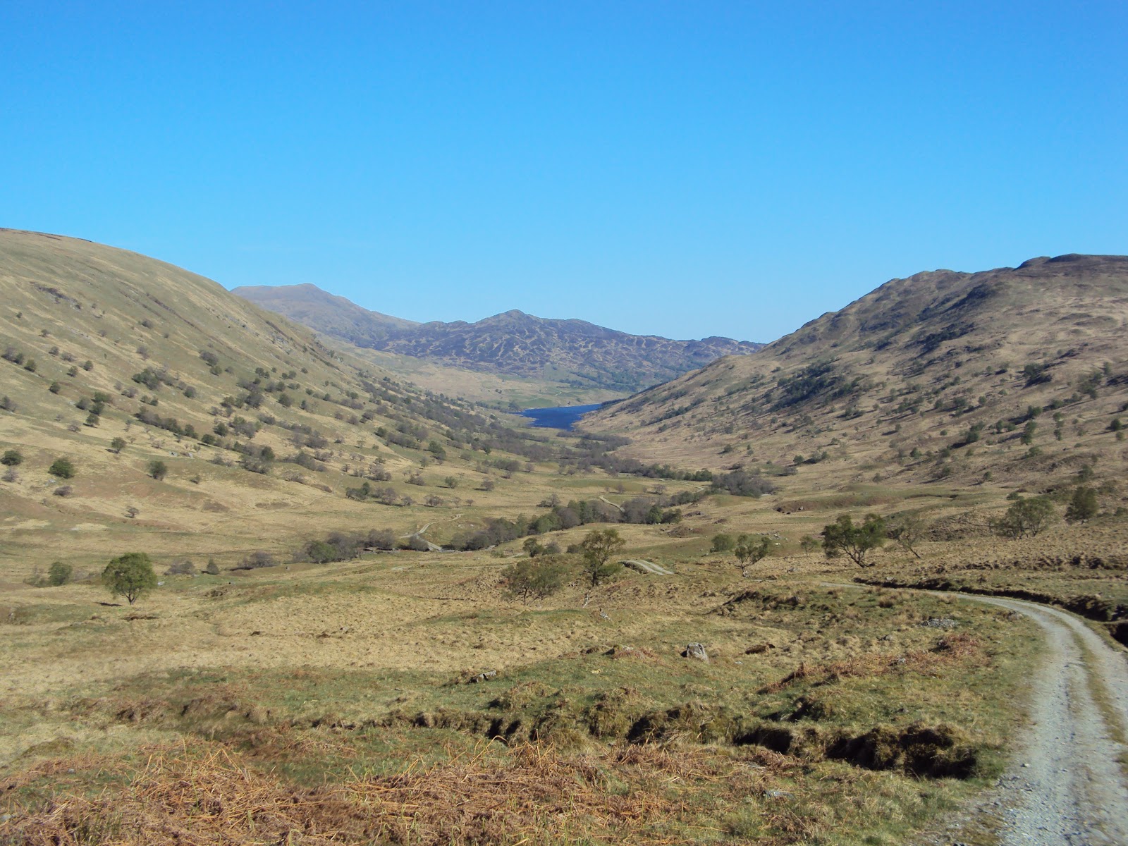 Walk This Wayne: Glen Finglas