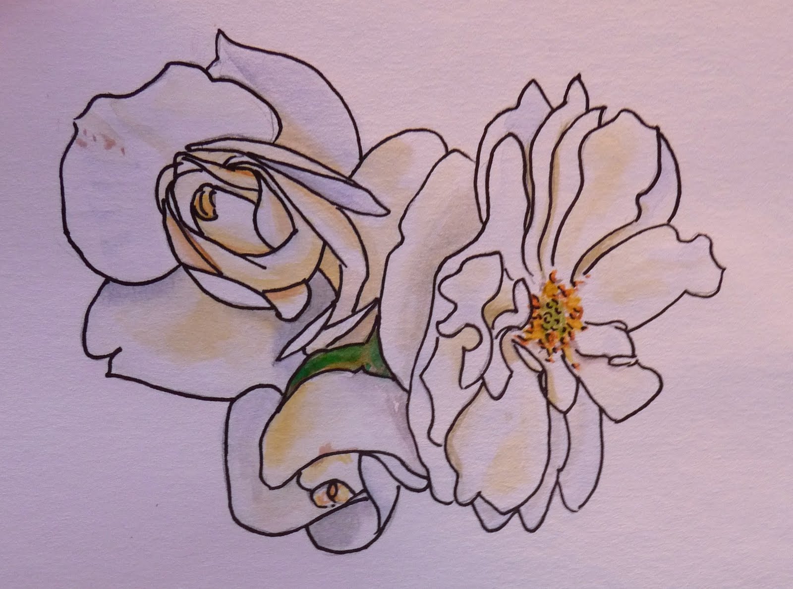 Schilderijen van Orchideeën & andere botanische werken: Kleine ...