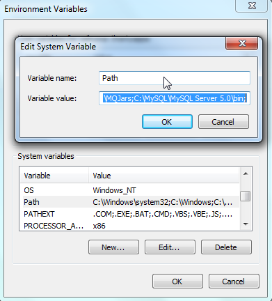 How to set Environment Variables and Establish DB connection from ...