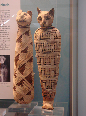 Catsparella: Would You Have Your Cat Mummified?