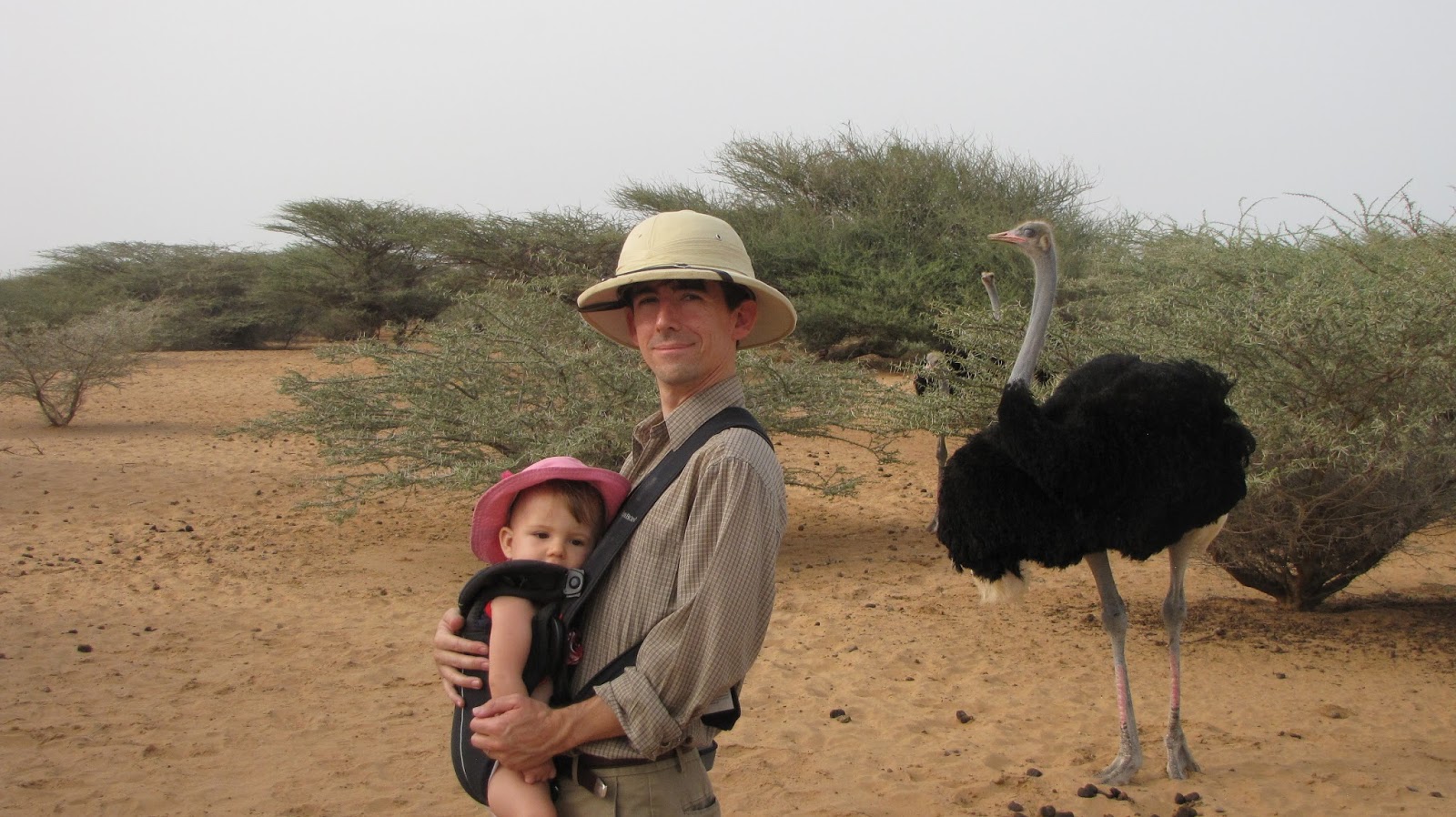 Taylor Walters Denyer: Family Fun in Djibouti Part II: Decan Wildlife ...