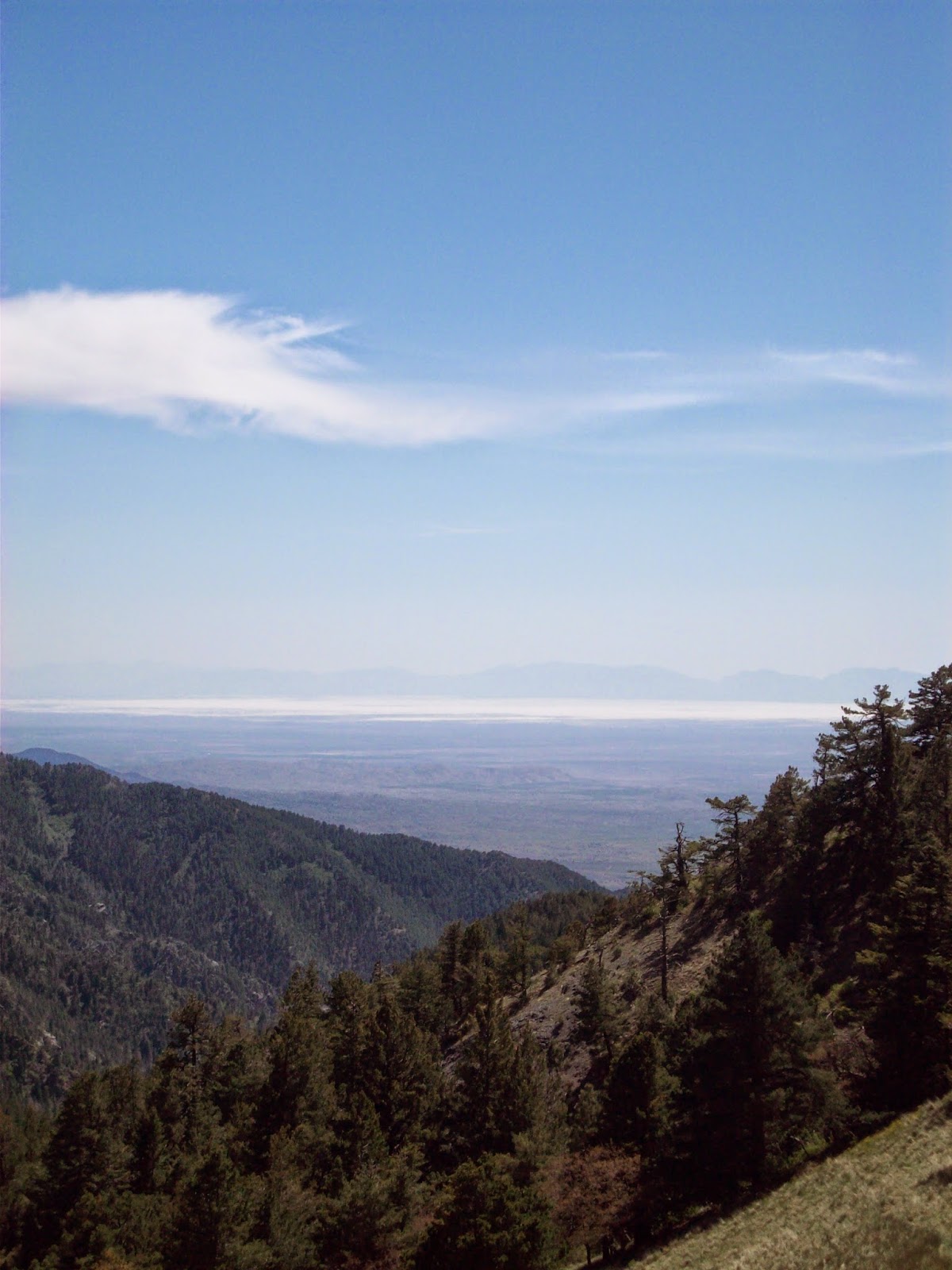 Southern New Mexico Explorer: Three Rivers Revisited-Lincoln National ...