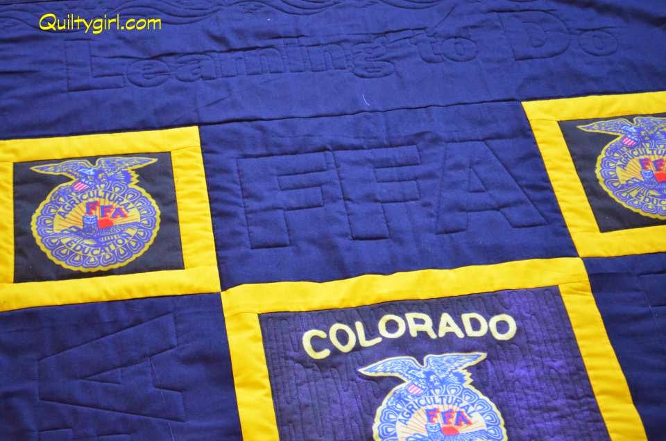 Alycia Quilts - Quiltygirl: FFA Quilt