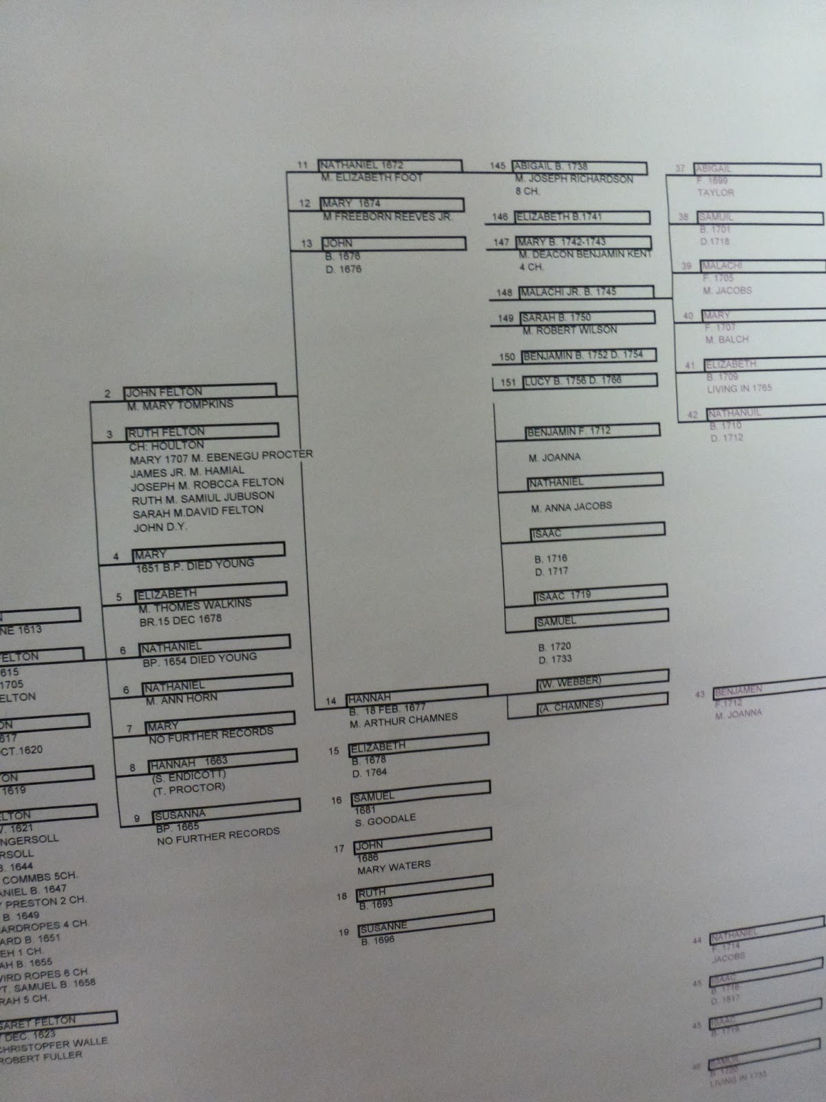 Nutfield Genealogy: Felton Family Reunion 2015, Peabody, Massachusetts