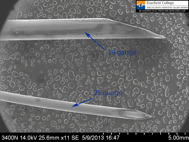 Scanning Electron Microscope Blog: How Sharp is a Hypodermic Needle?