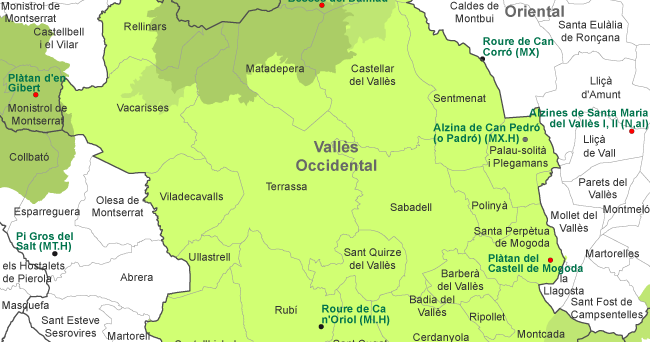 Blog d'una selenita: Arbres Monumentals del Vallès Occidental
