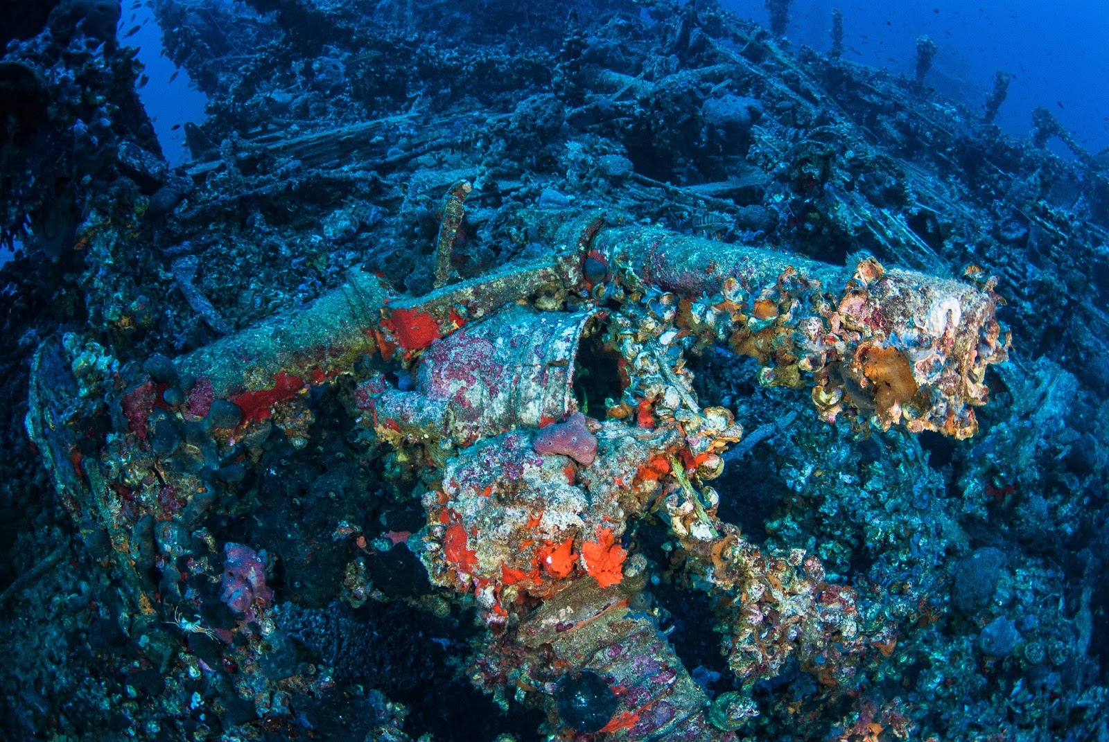 Burdigala: 100 years since the sinking of the second largest shipwreck ...