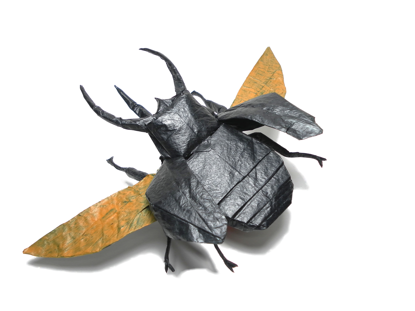 Mariano-Mi mundo el Origami: Flying Atlas Beetle