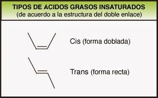 Biología celular: febrero 2014