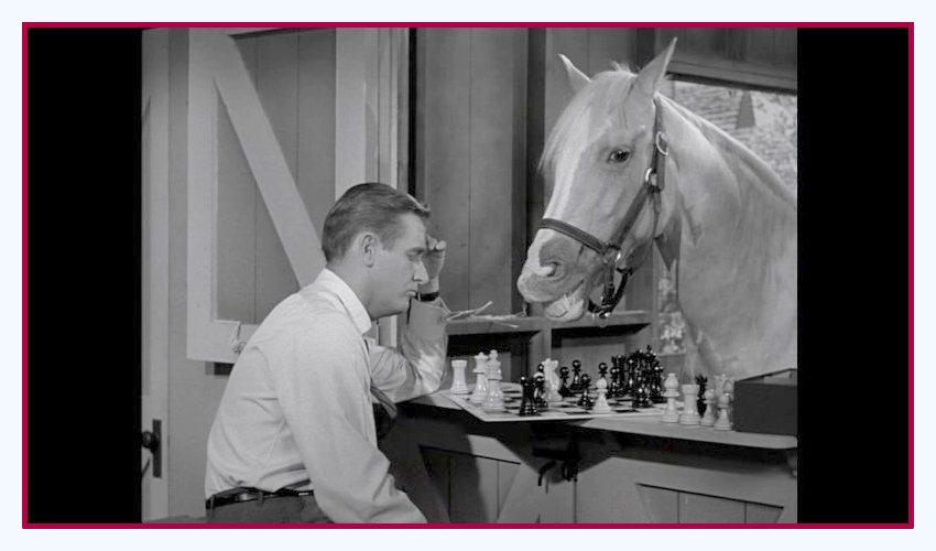 Slight Detour: Got Stable Geniuses!