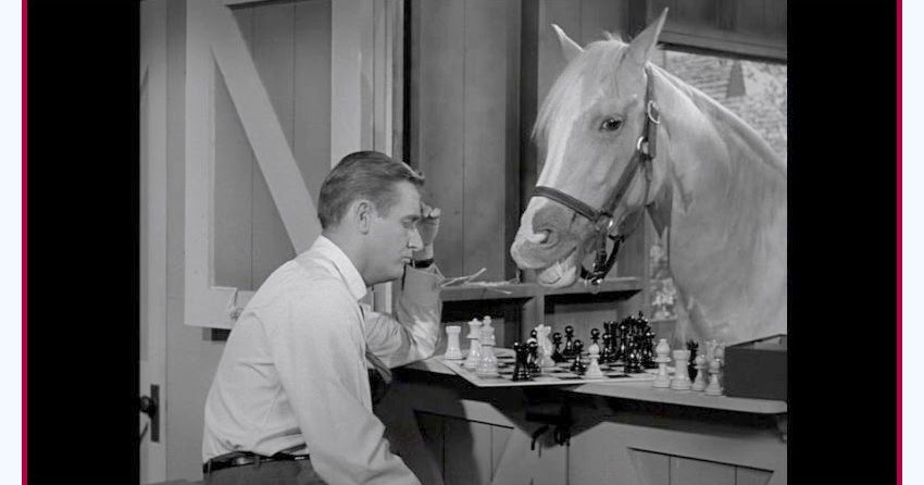 Slight Detour: Got Stable Geniuses!