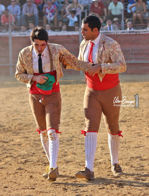 ANGF presta homenagem aos FORCADOS que perderam a vida a pegar toiros ...