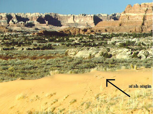 Vina Riski: EROSI ANGIN (DEFLASI)