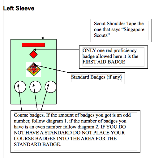 Maris Stella 2516 Phantom Scout Unit: Arrangement of badges on Uniform