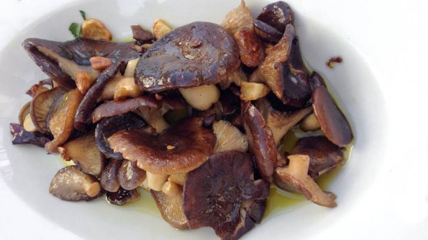 Disfruta Comiendo….. YA!