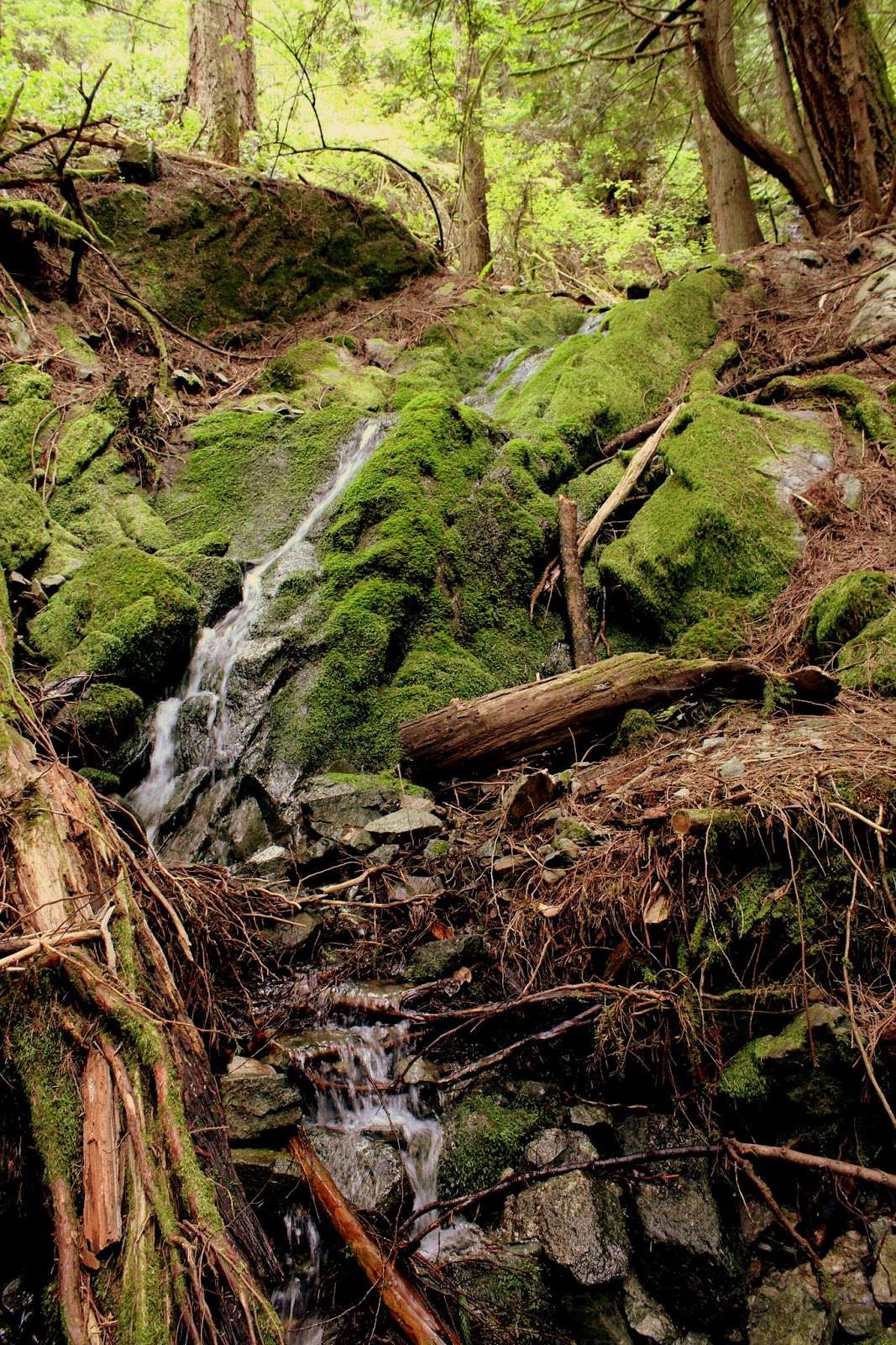 The Murray Chronicles : Hiking through Mt Taum Ecological Reserve