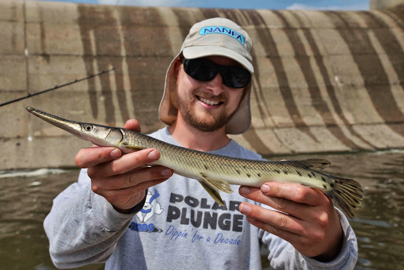 Ben Cantrell's fish species blog: Return to southern Illinois: toothy ...