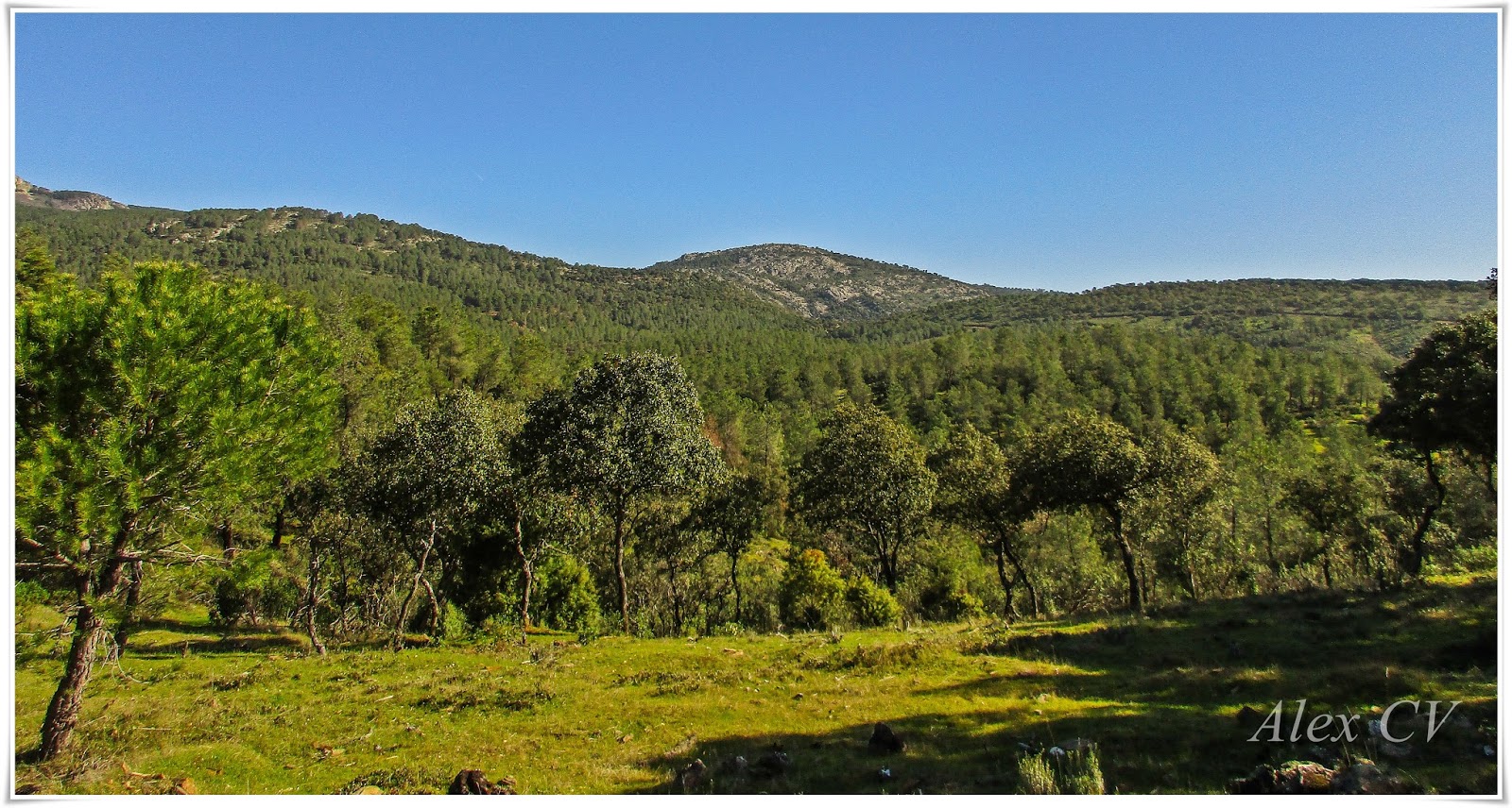 POR LOS CERROS DE ÚBEDA: CIRCULAR MIRANDA DEL REY, CASA DEL HORNILLO ...