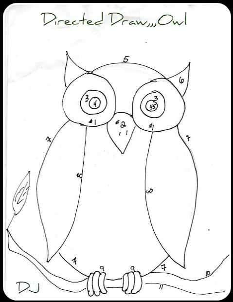 The Homeschool Voyager: Let's Draw Owls!