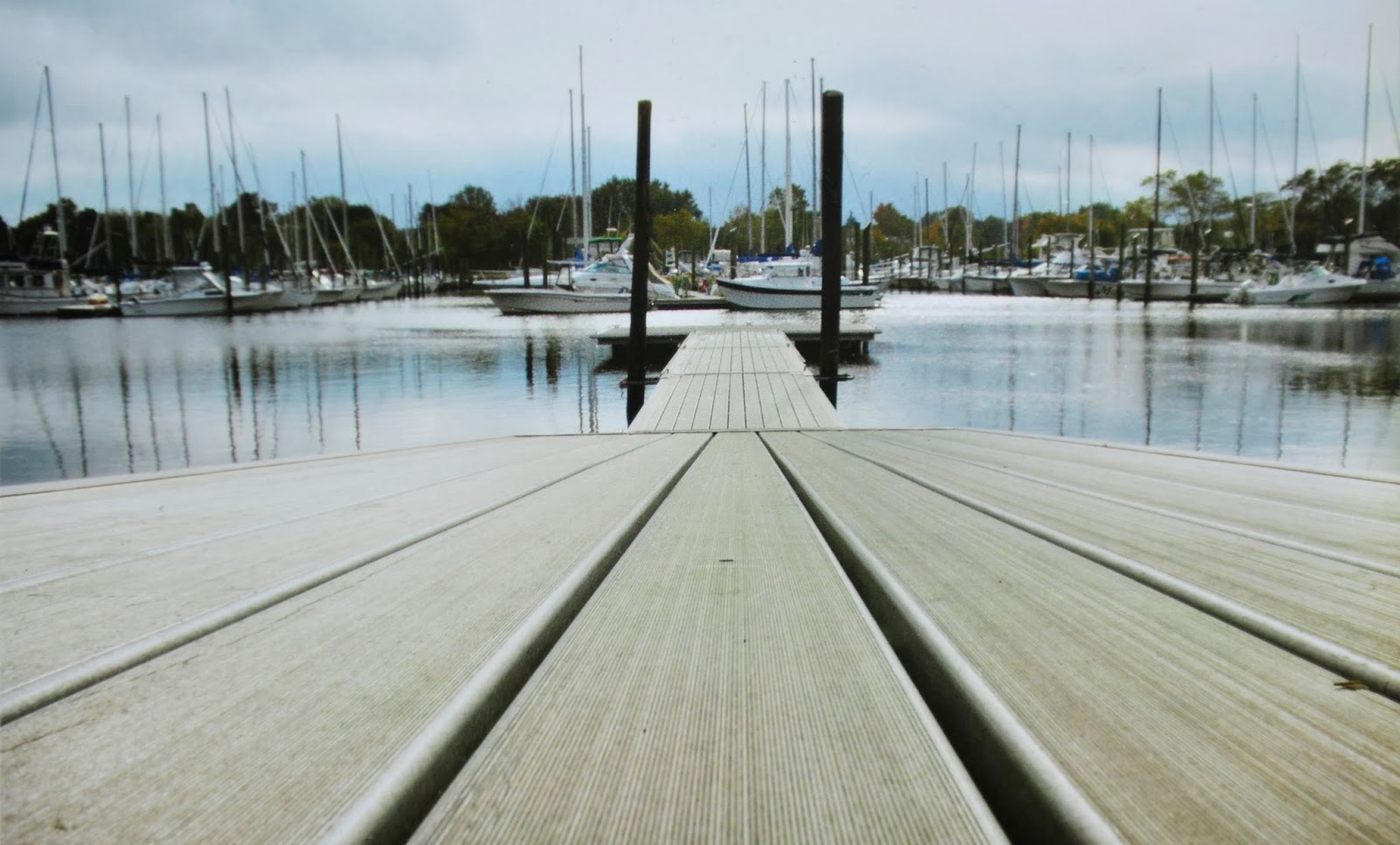 Compositie: LAAG standpunt (kikvors perspectief)