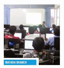 JAVA INSTITUTE: Branches network