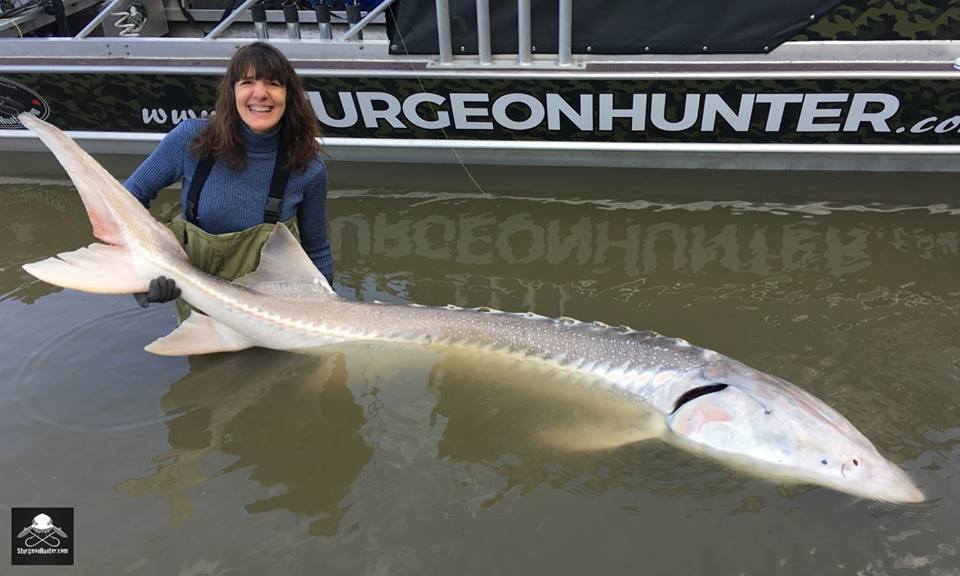 A View from the Beach: Baby Sturgeon Caught In the James River