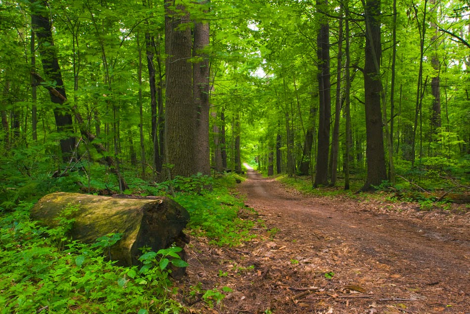 Experience Elgin: Active Living in Elgin County