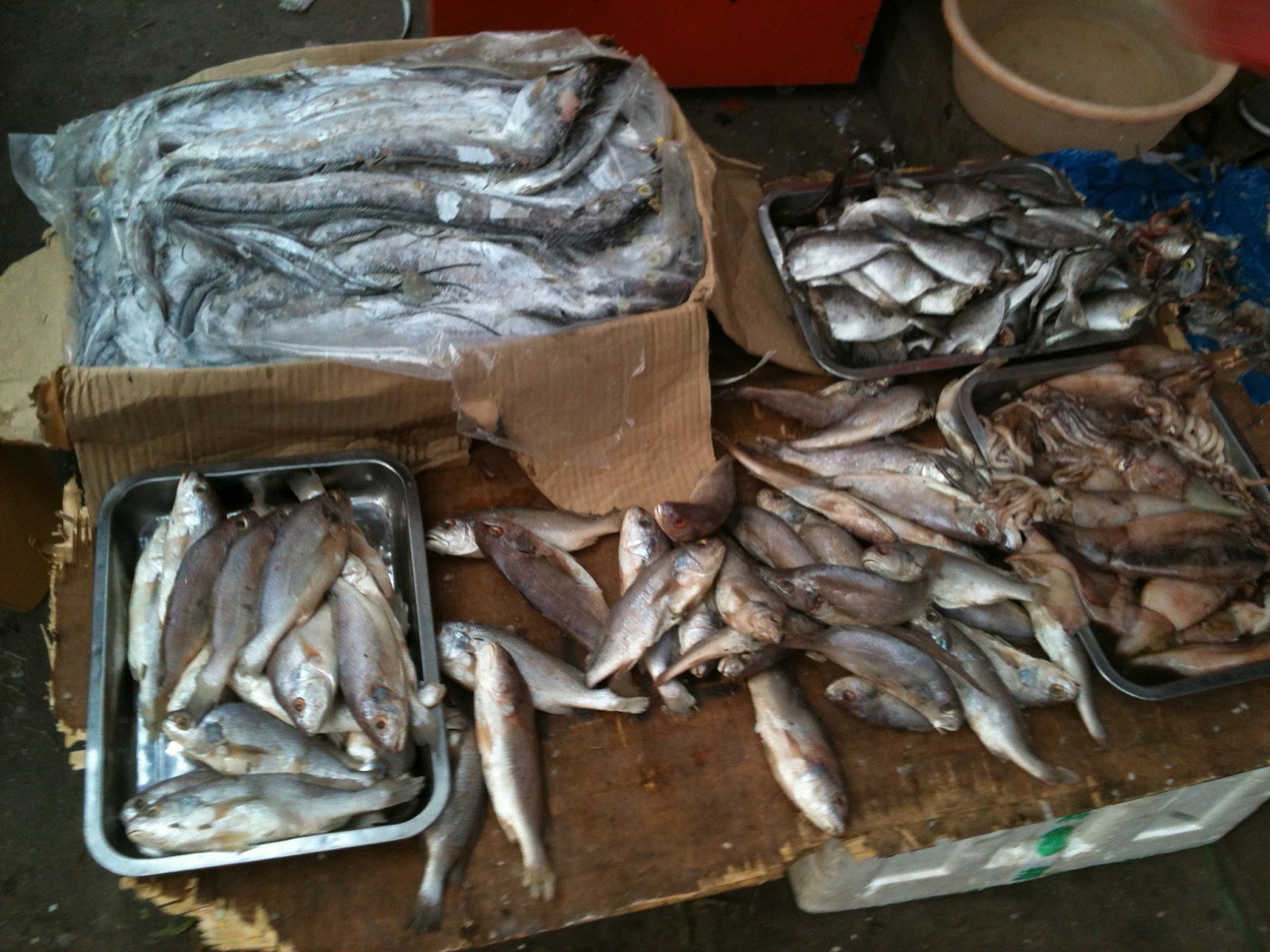 Selena's Adventures: Nanchang Food