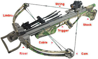 GUN SPORT: Crosman Bristol Crossbow