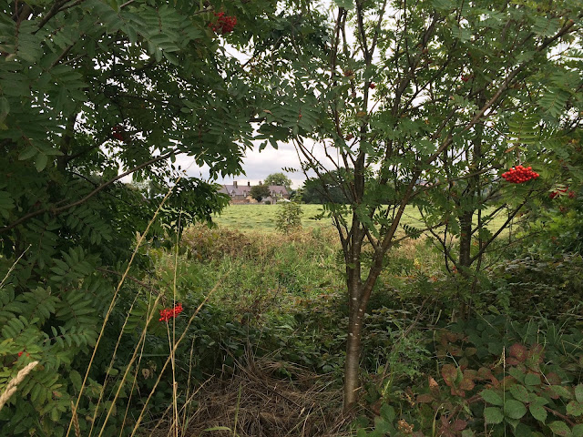 The Little Lamesley Pastures Walk. - The Geordie Tourist.