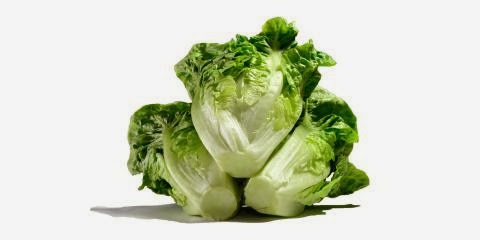 El bancalico del Cervantes: PLANTACIÓN LECHUGA BABY Y COLIFLOR