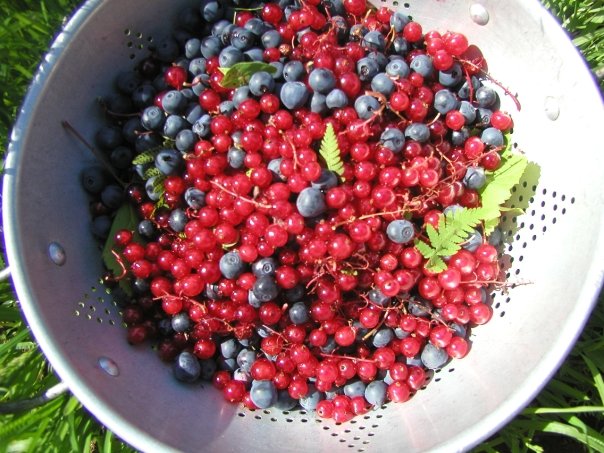 50 States in 50 Days: Alaska ~ Our Home