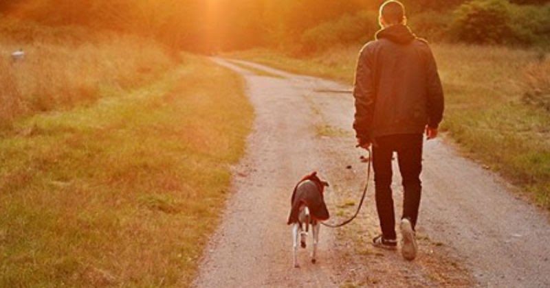 New Study Says Dog Owners Would Rather Spend Time With Pets Over People