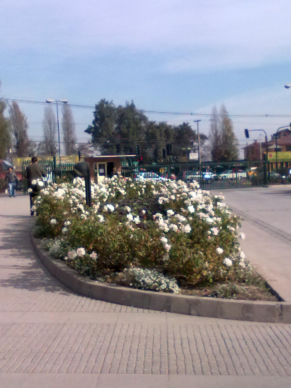 El Prado Parque Cementerio: Nuevas imágenes de Parque Cementerio El Prado