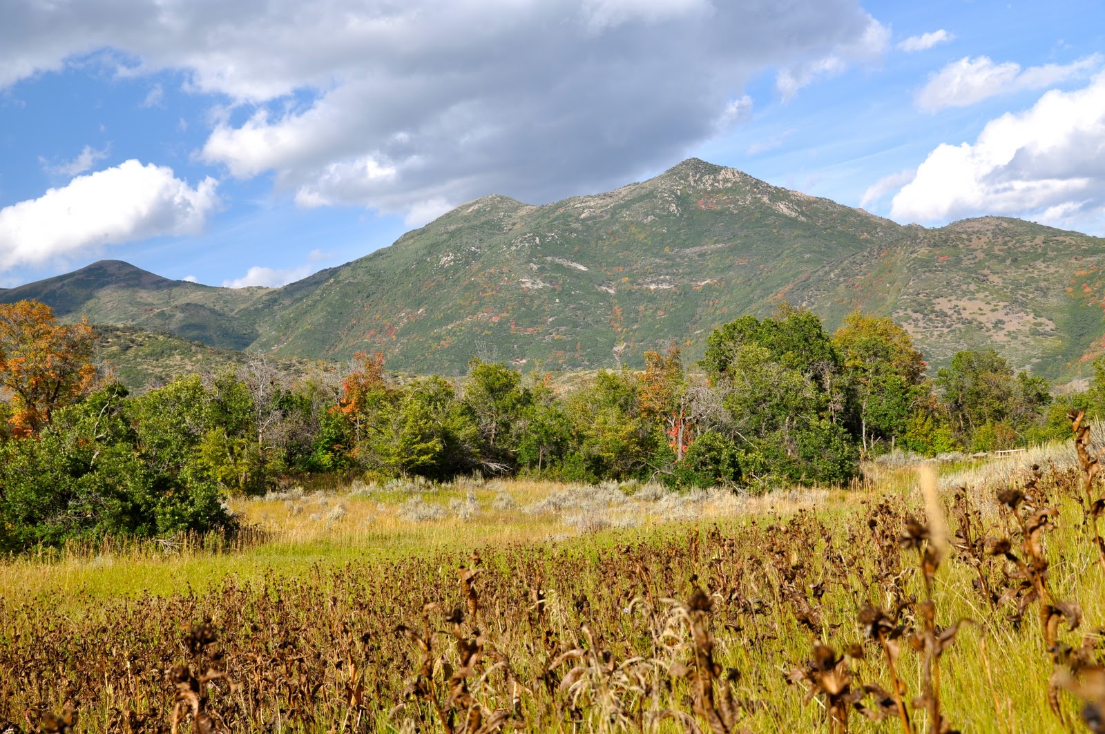 Hiking Utah: Wasatch Mountain State Park: Visitor's Center and Spring ...