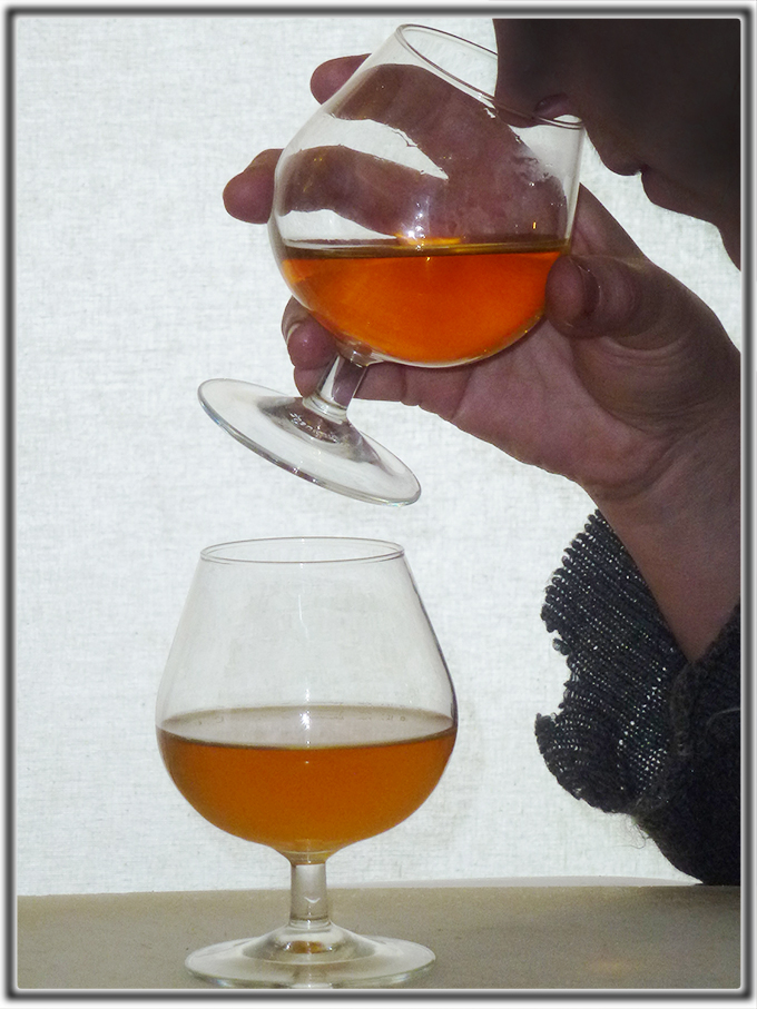 Gör egen kombucha! Scoby svamp till salu, skickas med vanlig post på 1 ...