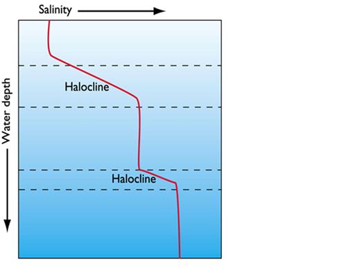 elmadahliapuri: Profil Salinitas secara Vertikal
