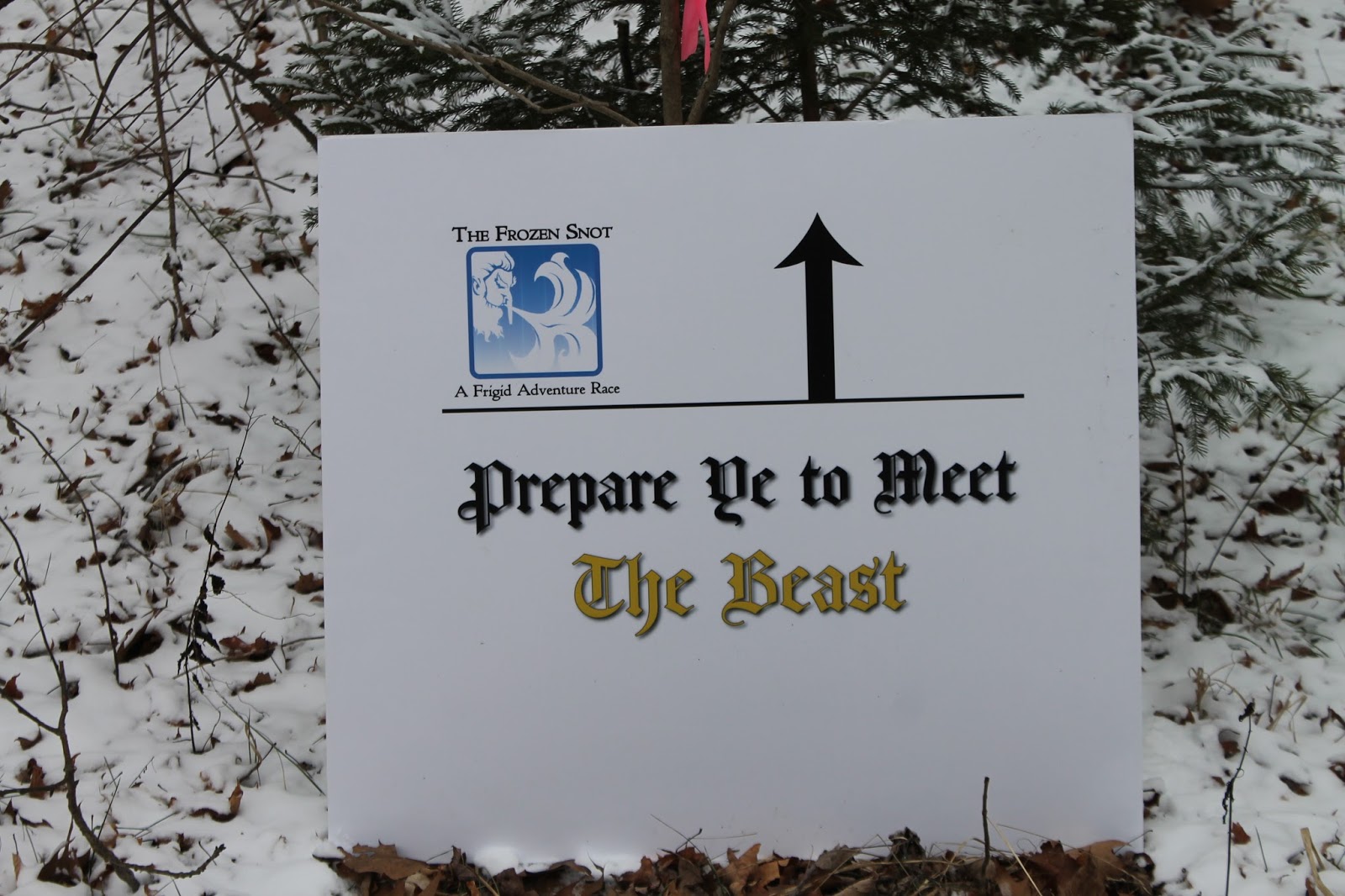 Ry Runs: Dry heaving my way to a finish at The Frozen Snot