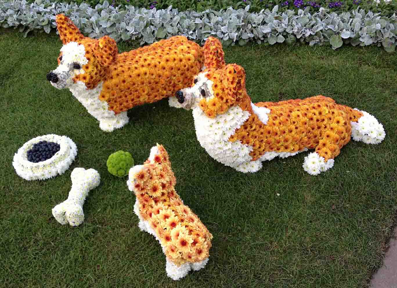 Il piccolo giardino di L.: Una chicca dal Chelsey Flower Show