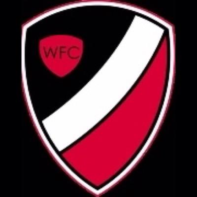 ESCUDOS DO MUNDO INTEIRO: PIRÂMIDE DO FUTEBOL INGLÊS - YORK FOOTBALL ...