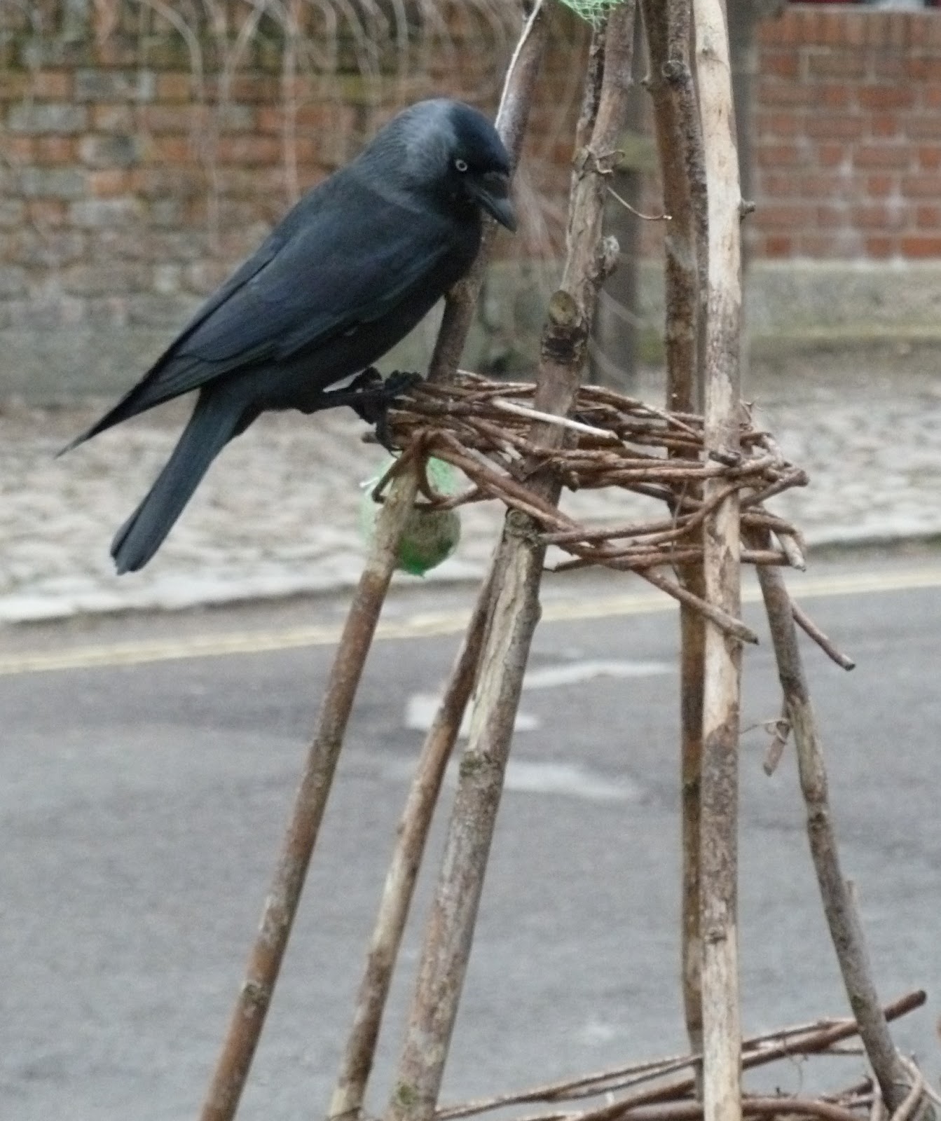 Devizes Days in Words and Pictures 2015: February 2012