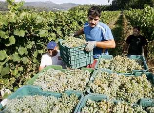 La Enciclopedia de Dios: LA COSECHA ES ABUNDANTE Y LOS TRABAJADORES POCOS