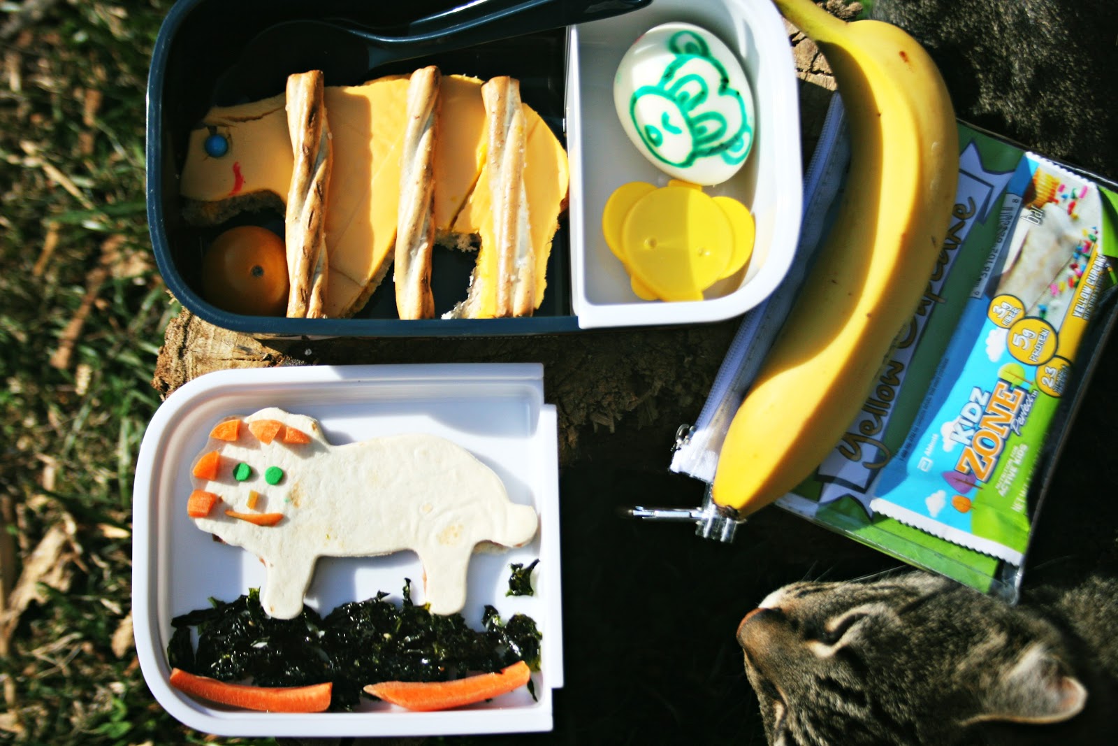 Two Bears Farm and the Three Cubs: It's a Zoo in There!