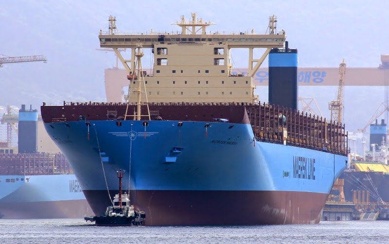 Top 20 carriers ranked by capacity in Alphaliner's annual Fleet Review
