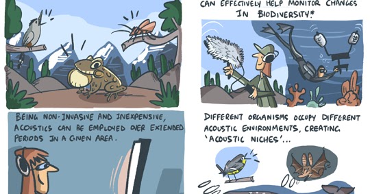 Green Humour: Bioacoustics and Biodiversity Trends