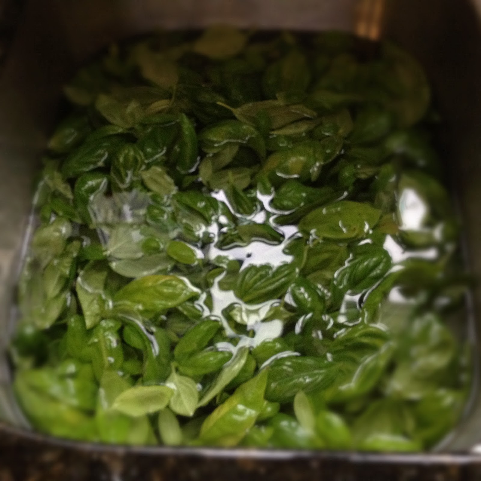 Thoughts from a swimmer: What to do with all that summer basil??